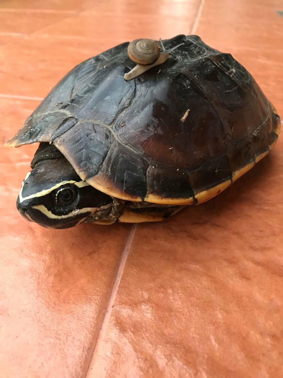 Home - HOPE TO SHARE - John & Justine Wolfley 2022